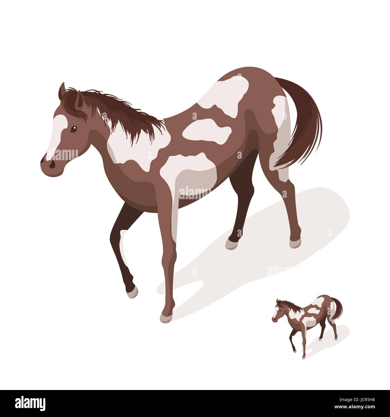 Pinto horses Stock-Vektorgrafiken kaufen - Alamy