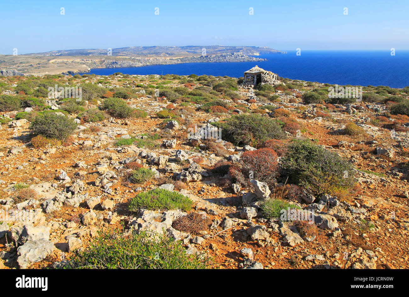 Malta Vegetation Stockfotos & Malta Vegetation Bilder - Alamy