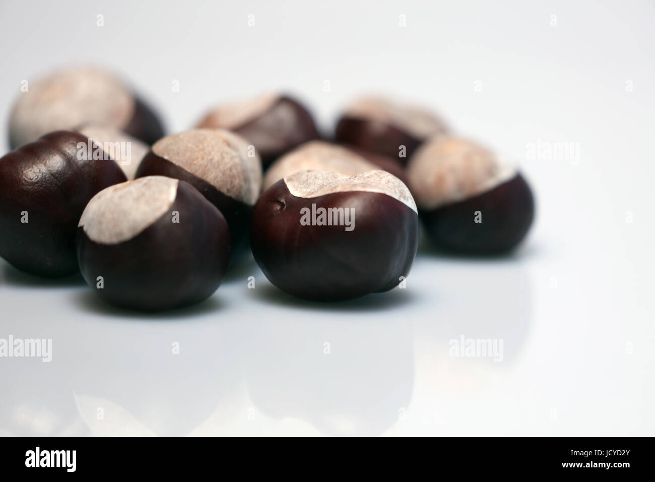 Baum kastanienbaum -Fotos und -Bildmaterial in hoher Auflösung – Alamy