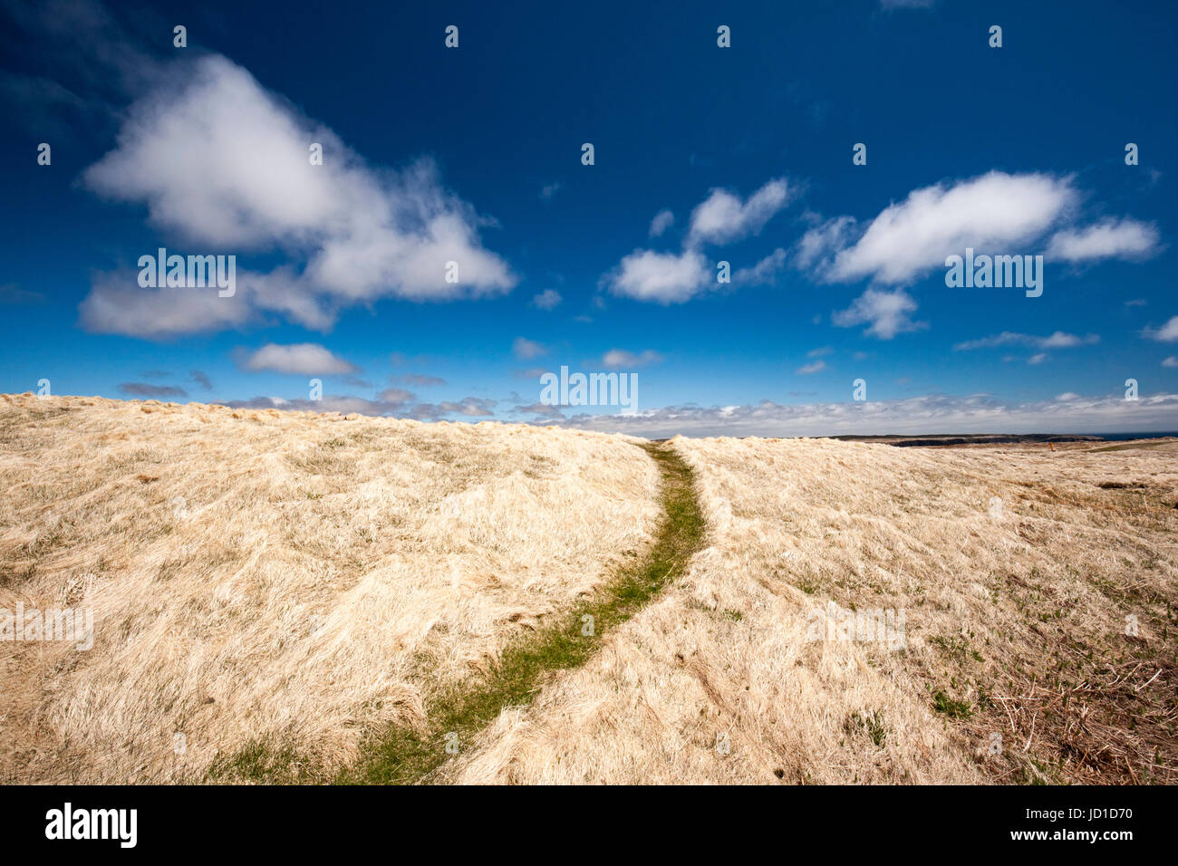 Hochland barrens -Fotos und -Bildmaterial in hoher Auflösung – Alamy