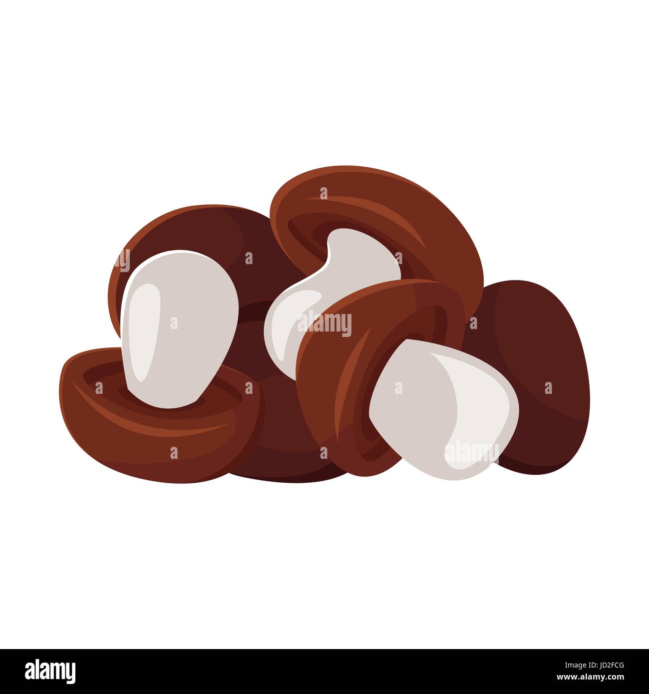 Ganze pilze Stock-Vektorgrafiken kaufen - Alamy