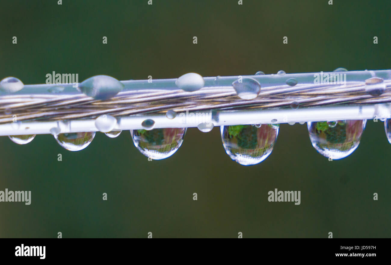 Makro regentropfen -Fotos und -Bildmaterial in hoher Auflösung – Alamy