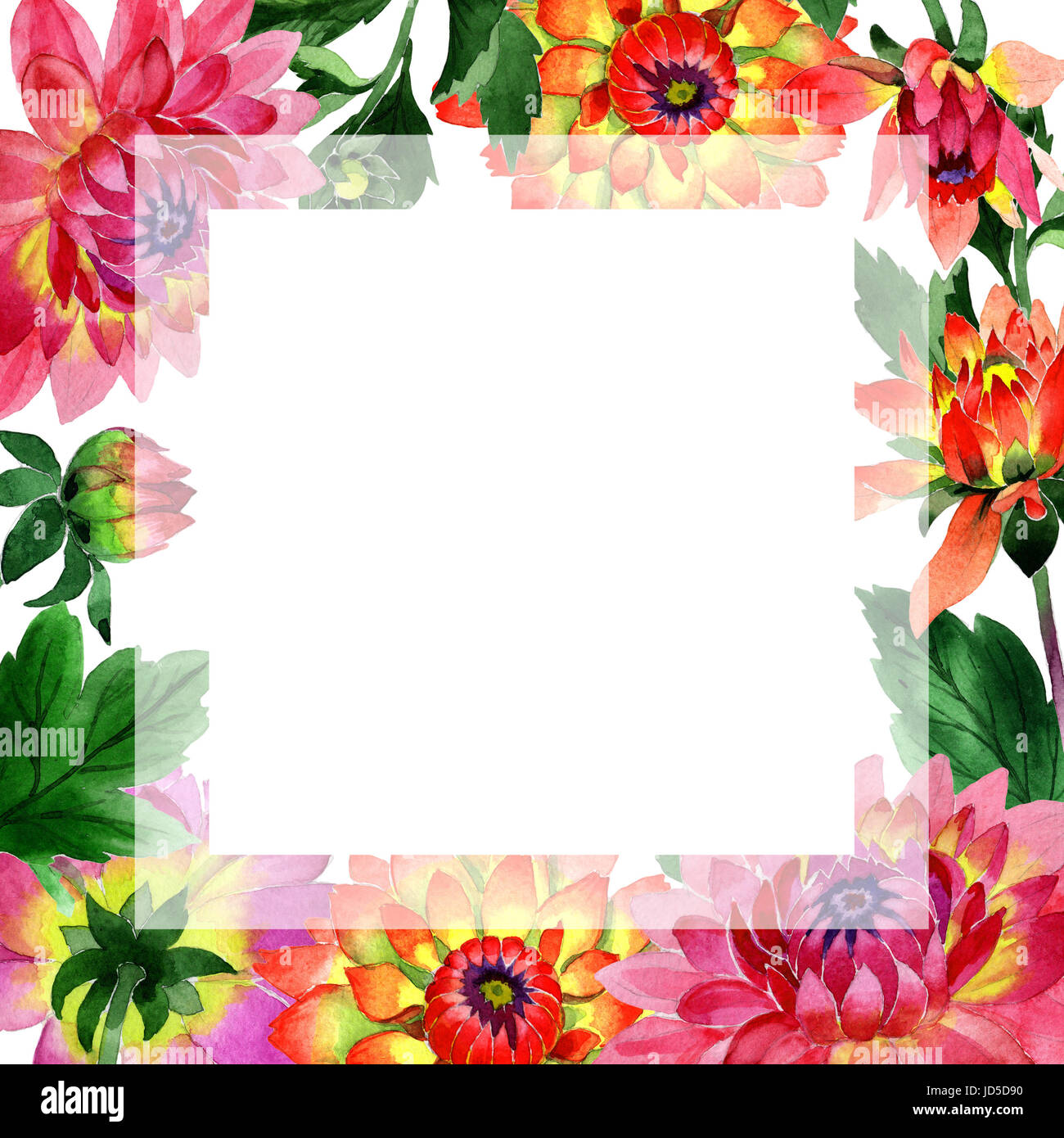 Wildflower Dahlie Blumenrahmen im Aquarell-Stil isoliert. Aquarell ...