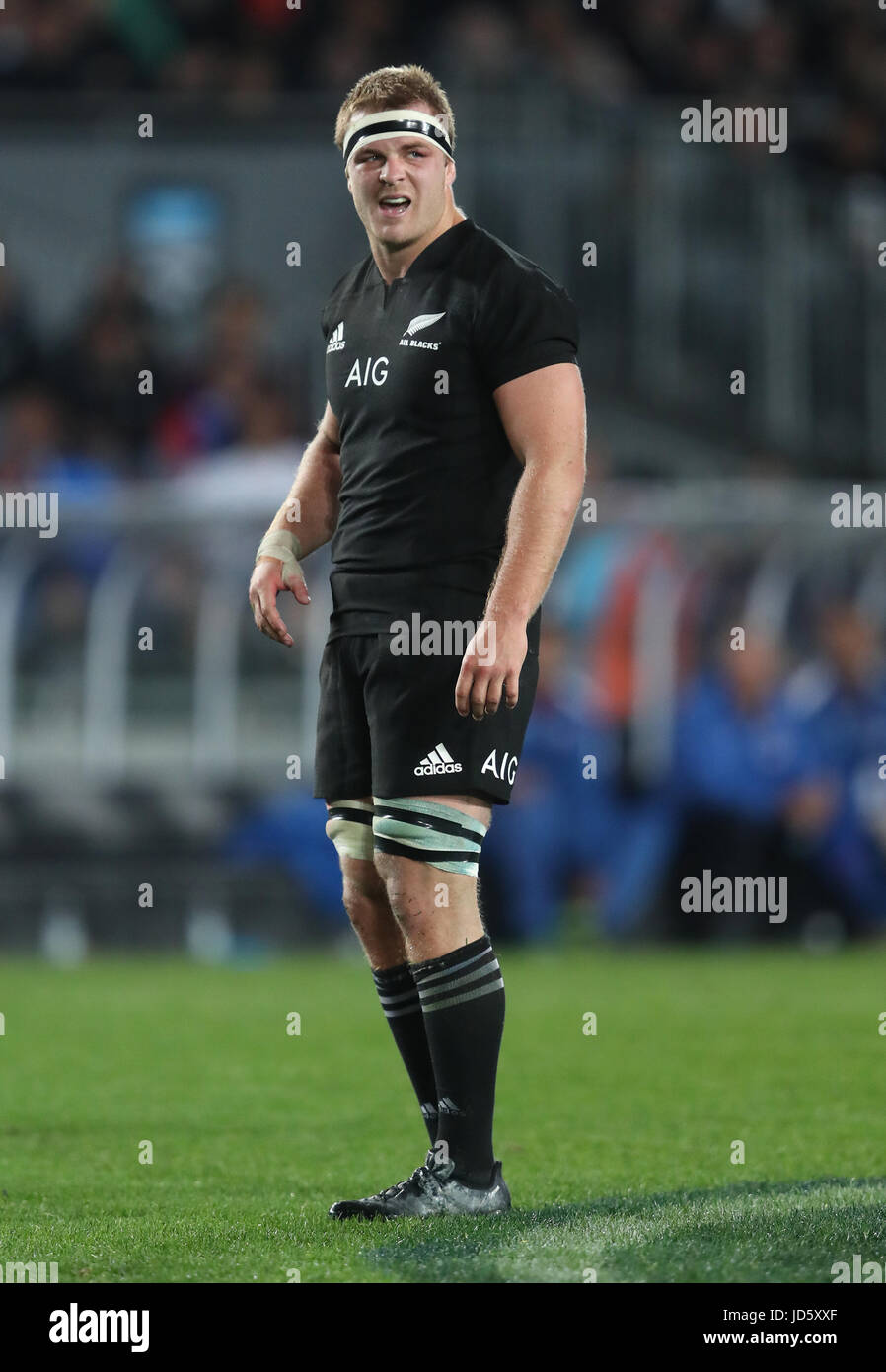 Sam cane -Fotos und -Bildmaterial in hoher Auflösung – Alamy