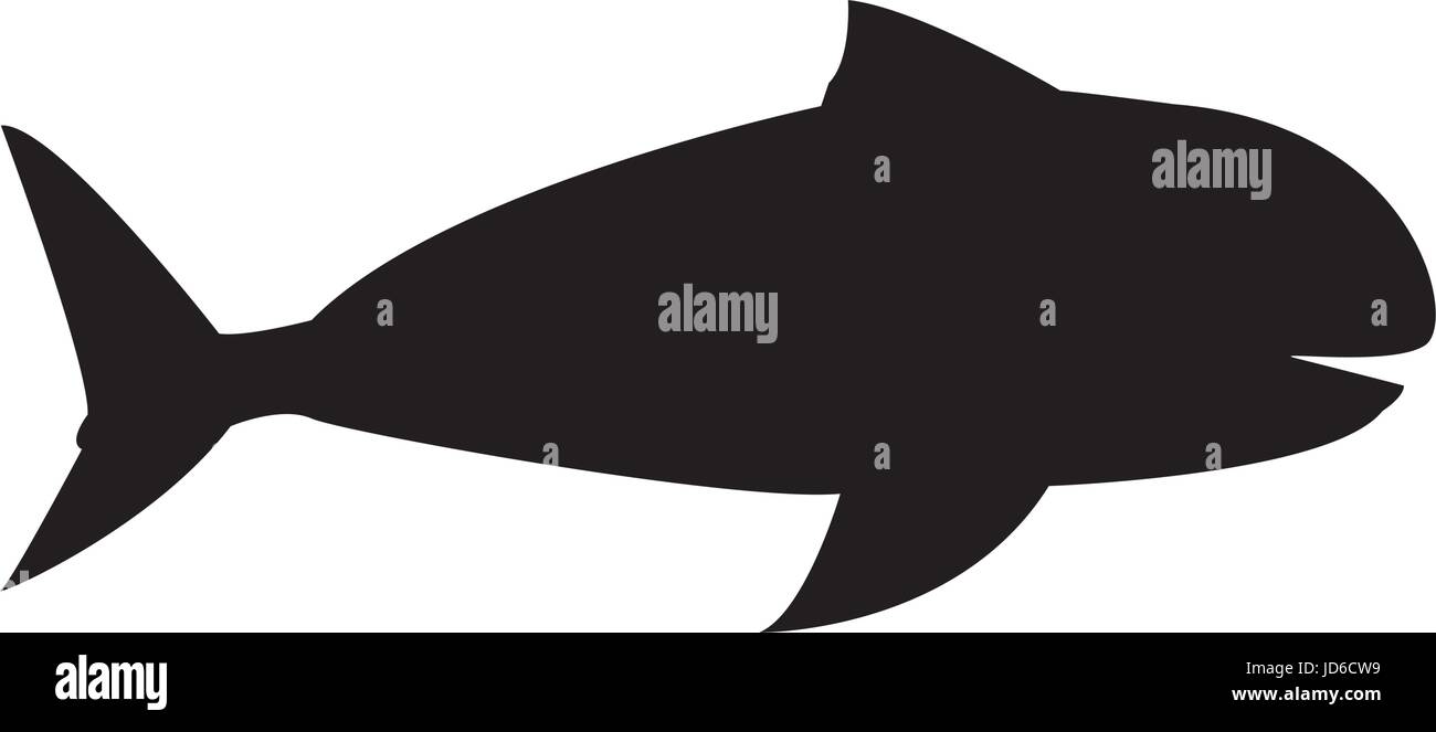 Walhai Silhouette Stockfotos und -bilder Kaufen - Alamy