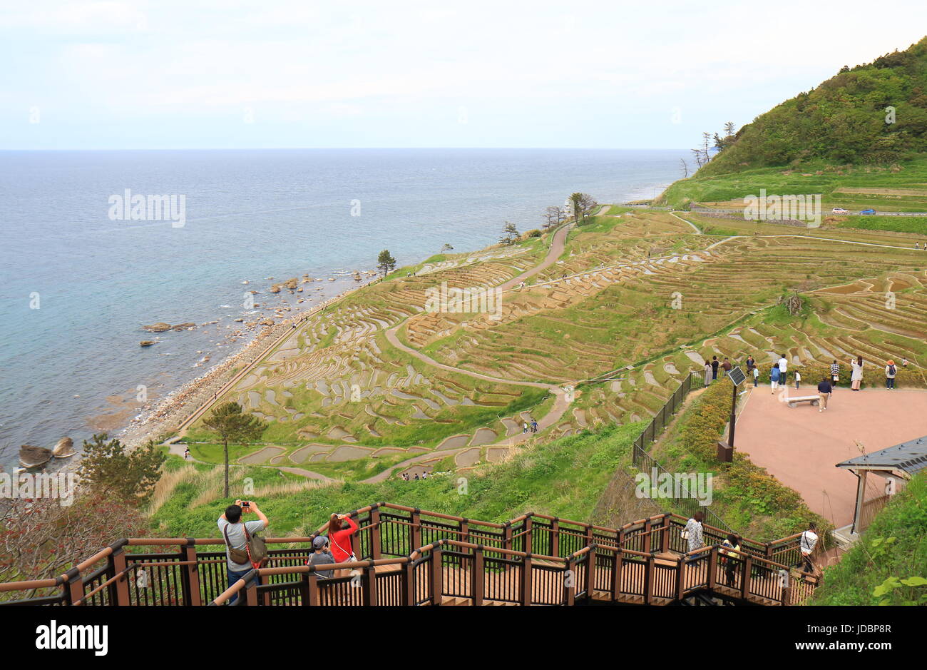 Senmaida Rice Paddy Terrasse Wajima Ishikawa, Japan. Senmaida ist das ...