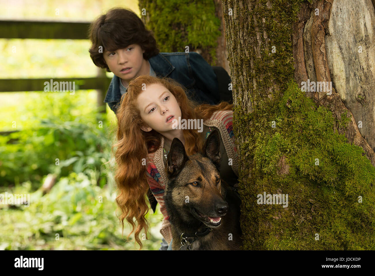 MAX 2: Weiße Haus Held, von oben: Zane Austin, Francesca Capaldi, Max ...