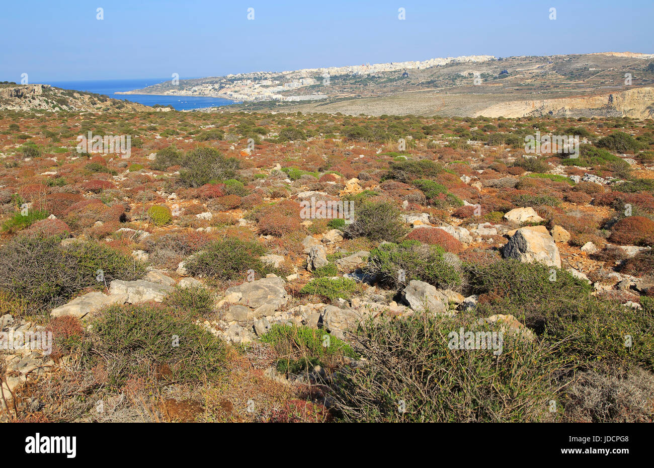 Mediterrane Garrigue Vegetation, Marfa Halbinsel, Blick Malta Mellieha ...
