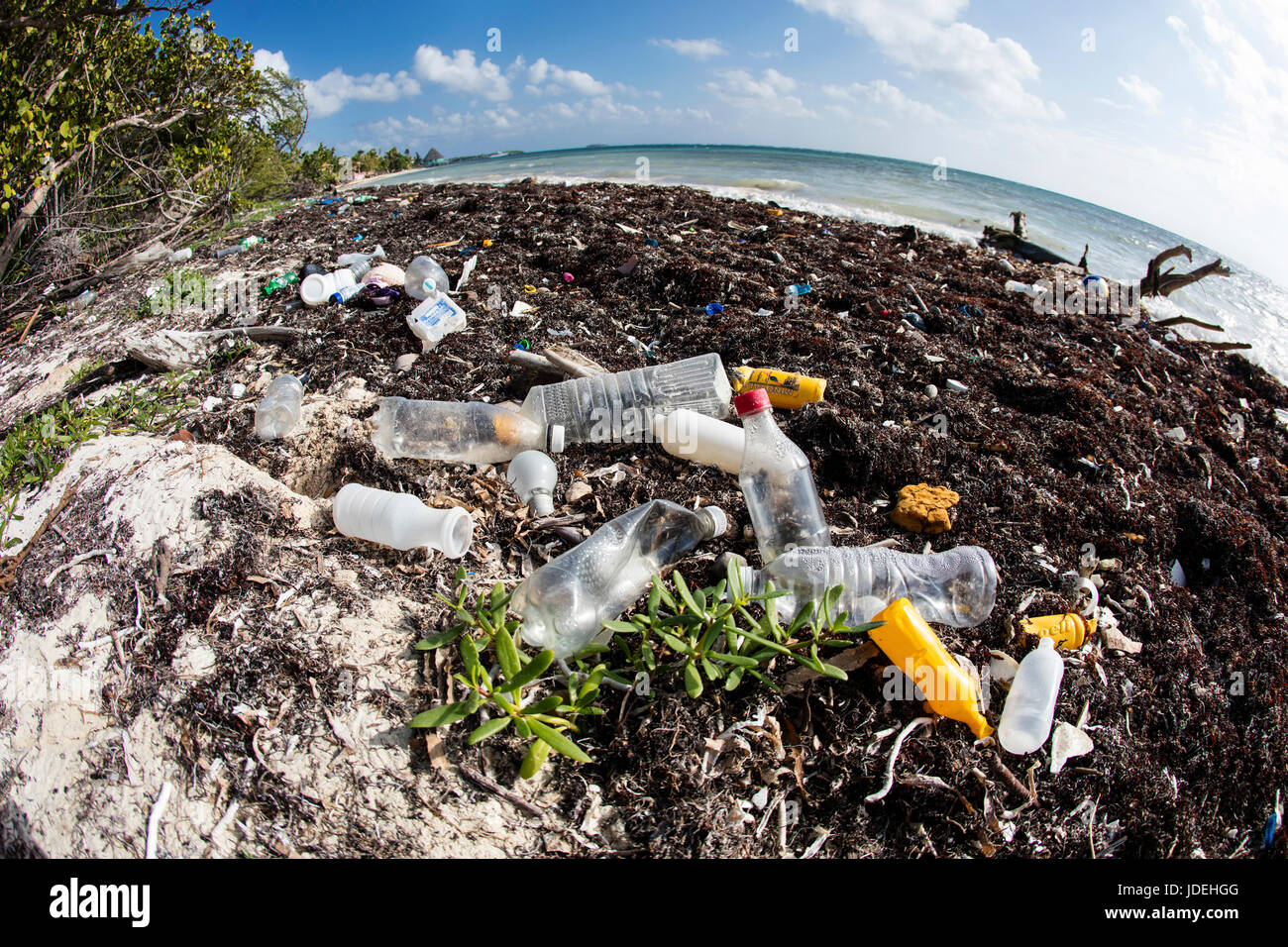 Sea Pollution Caribbean Stockfotos und -bilder Kaufen - Alamy
