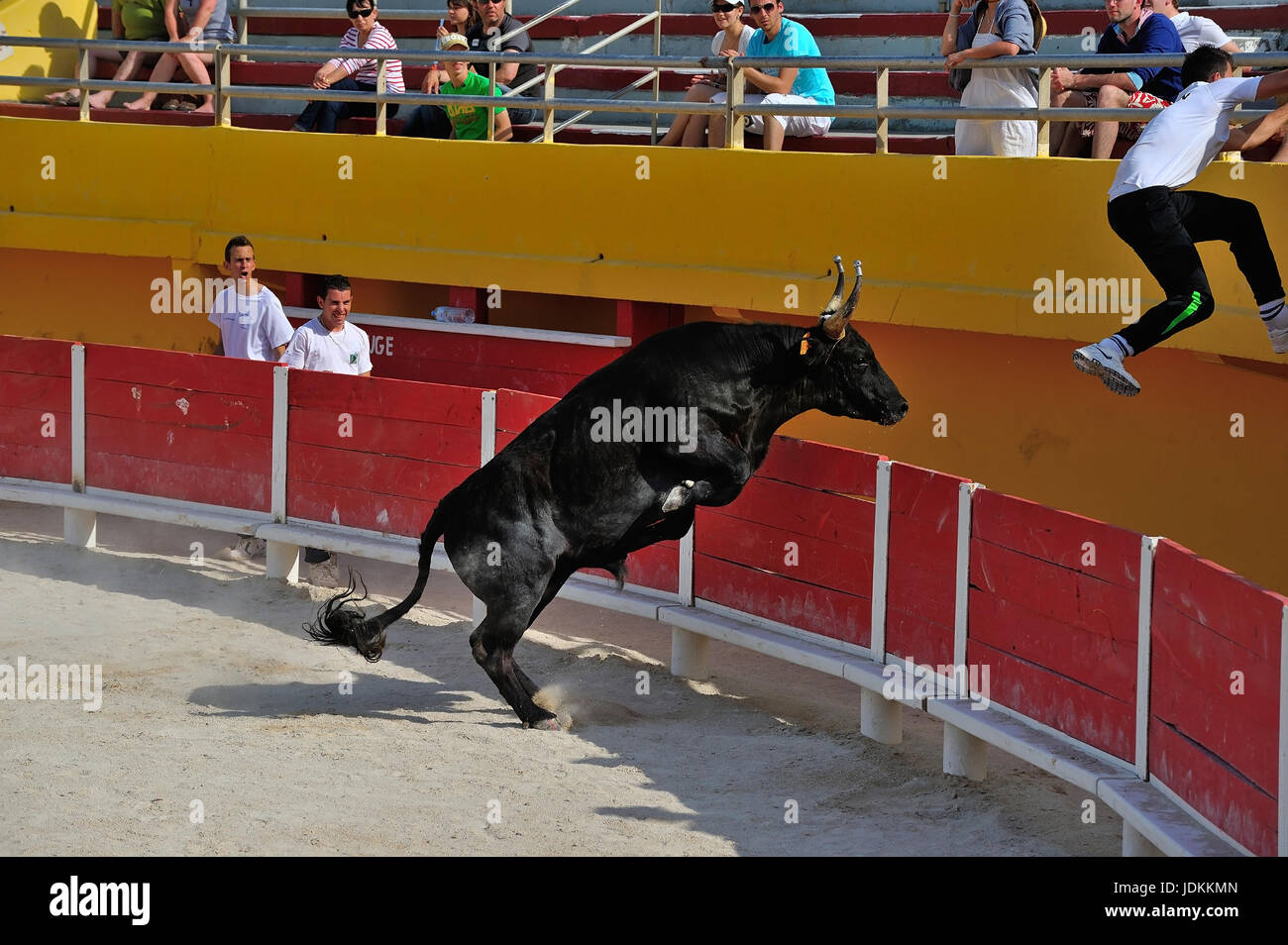 Stierkampf in der Arena von Saintes Maries De La Mer, La Camargue ...