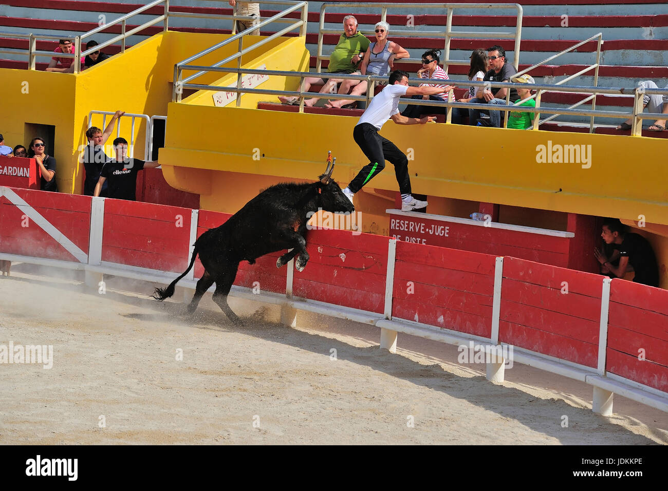 Stierkampf in der Arena von Saintes Maries De La Mer, La Camargue ...