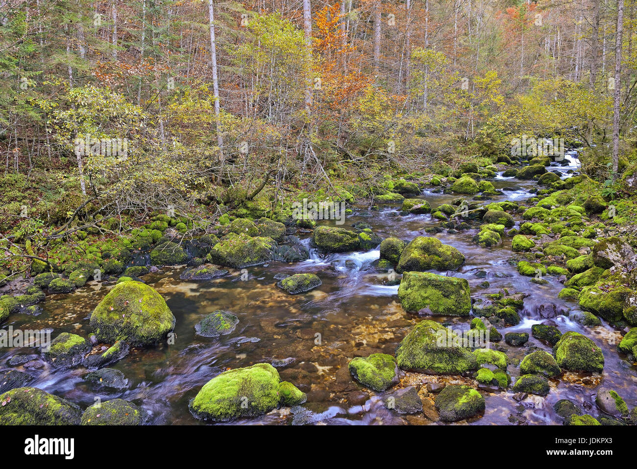 Bei windischgarsten Stockfotos und -bilder Kaufen - Alamy