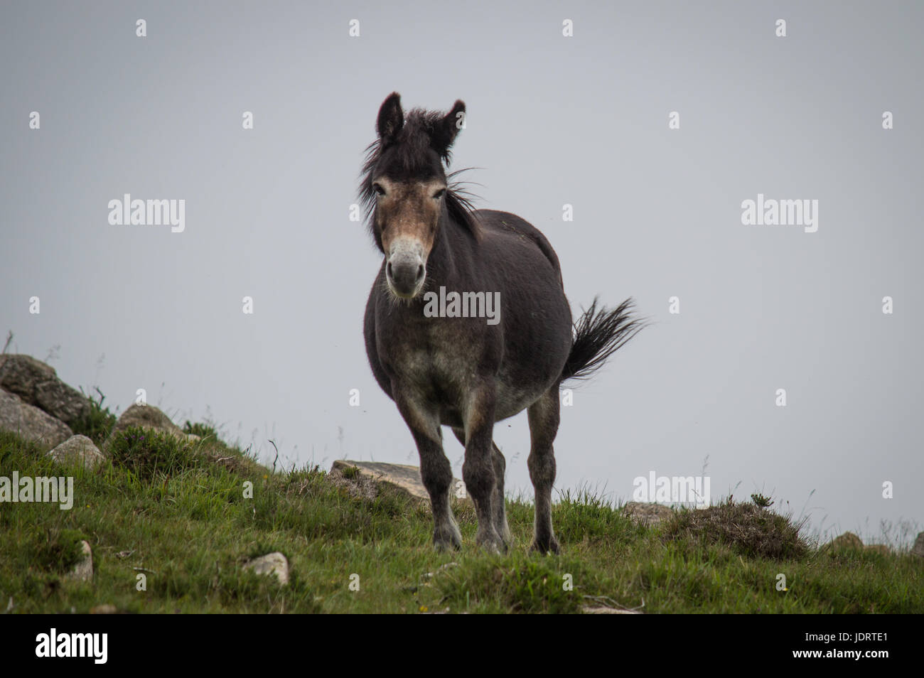 Berge trauer -Fotos und -Bildmaterial in hoher Auflösung – Alamy