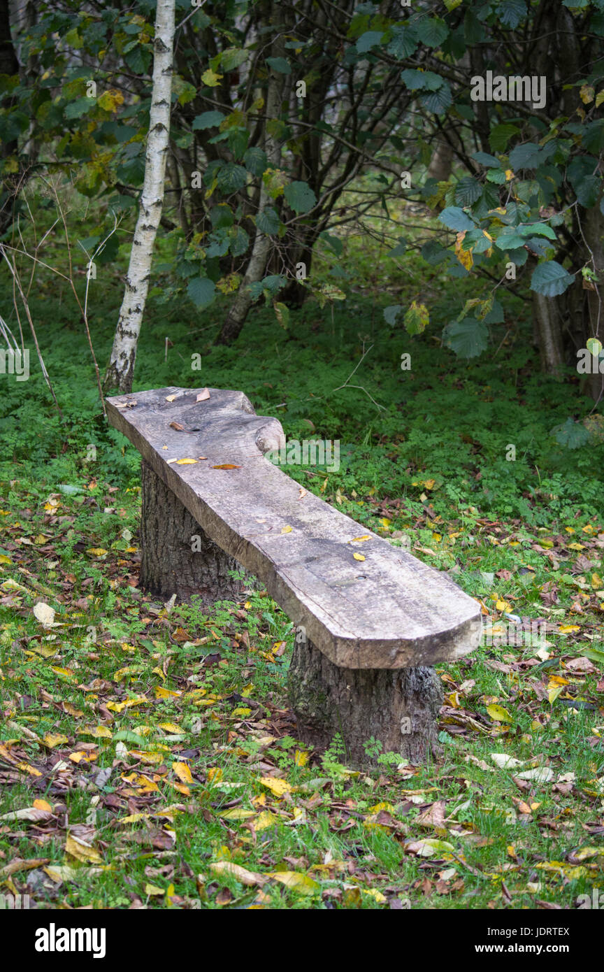 Holzbank in einem wald -Fotos und -Bildmaterial in hoher Auflösung – Alamy