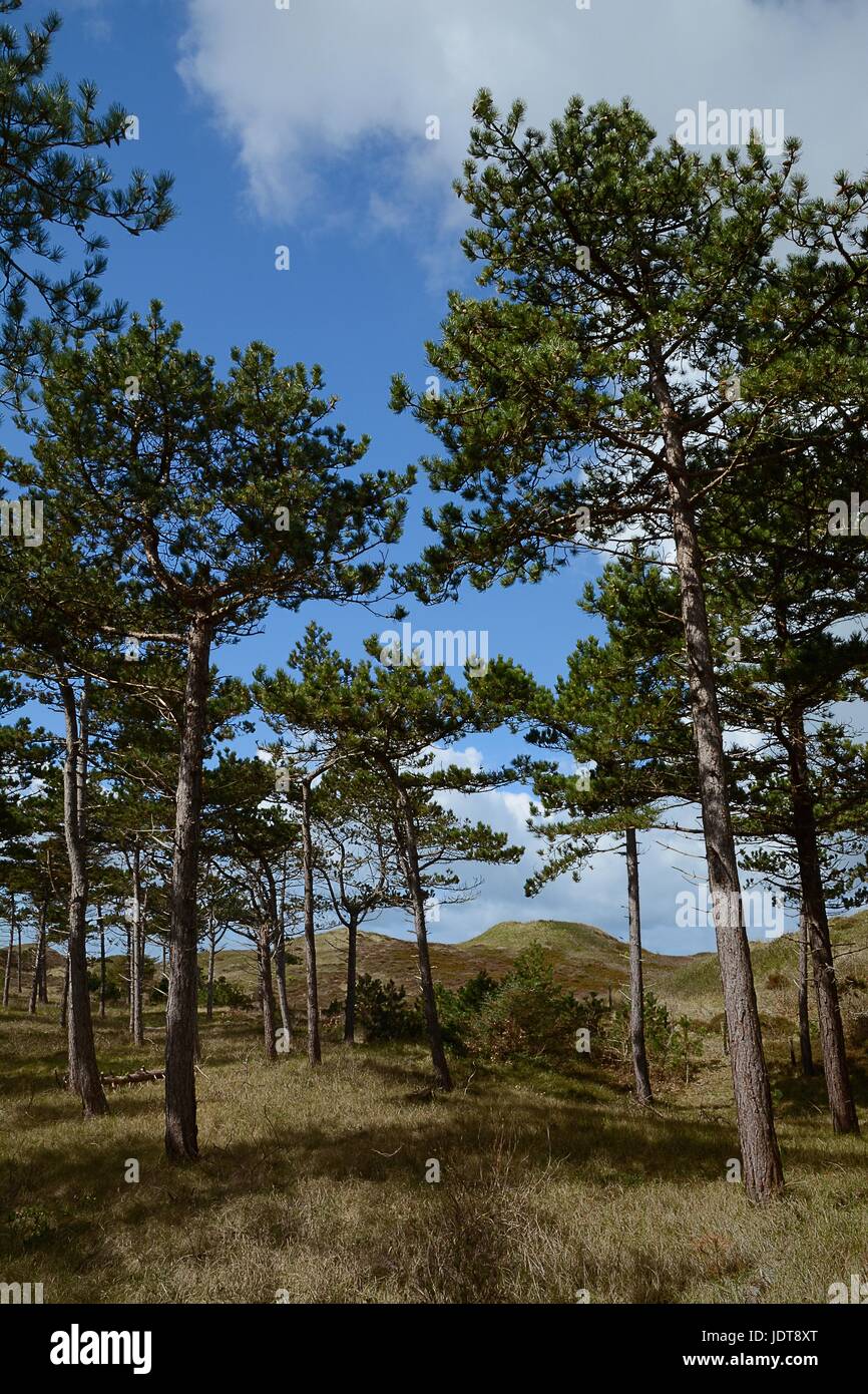 De nen -Fotos und -Bildmaterial in hoher Auflösung – Alamy