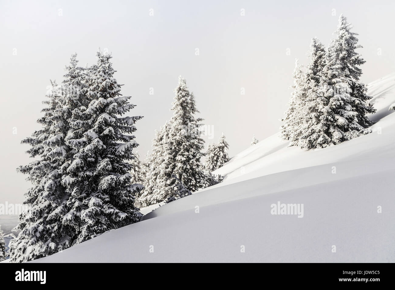 Reutte in tirol -Fotos und -Bildmaterial in hoher Auflösung – Alamy