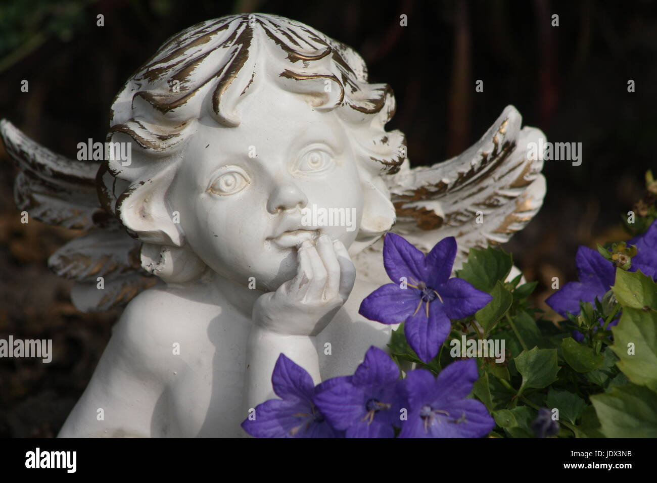 Kleiner schutzengel -Fotos und -Bildmaterial in hoher Auflösung – Alamy