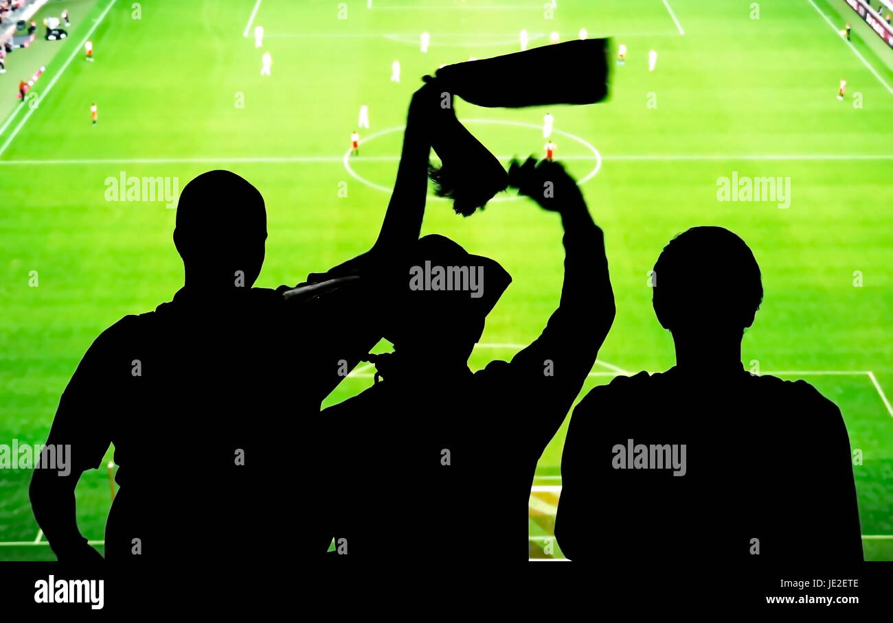 Fußball-Fans Im Stadion Stockfotografie - Alamy
