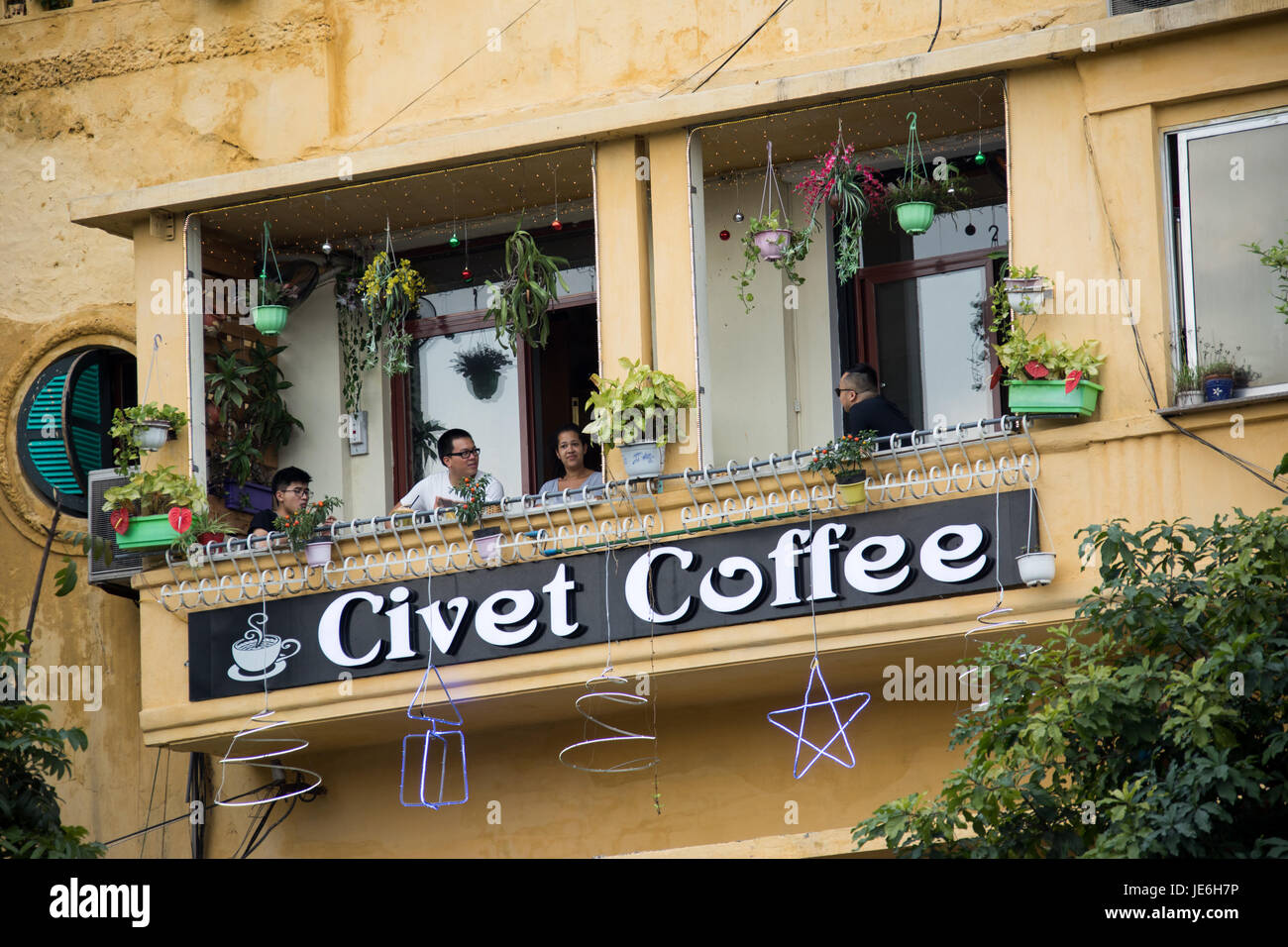 Kaffee zibet -Fotos und -Bildmaterial in hoher Auflösung – Alamy