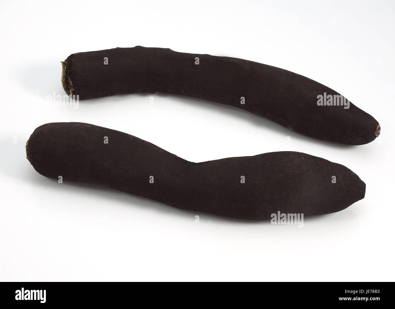 Schwarzer Winter-Rettich, schwarzer Rettich, Raphanus Sativus, Gemüse ...