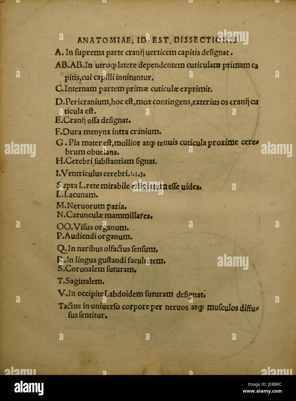 Eine Illustration aus 'Dryander Anatomiae Pars Prior', die eine ...