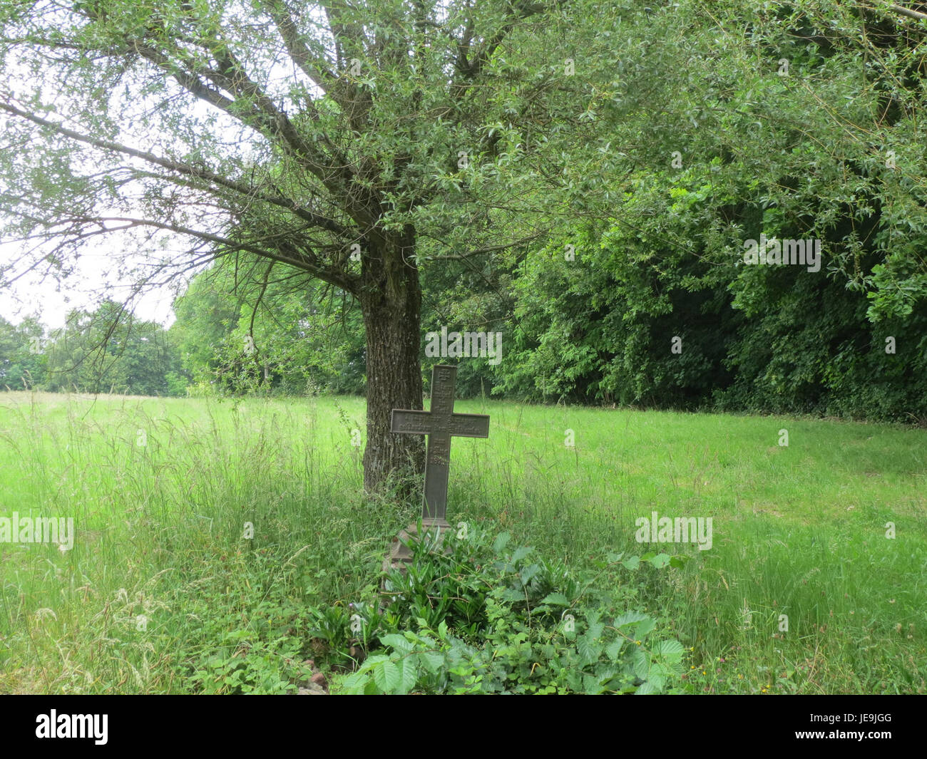 Das Bild zeigt ein Soldatengrab in Winterberg, das an die Kriegsdiener erinnert. Das Grab ist ...