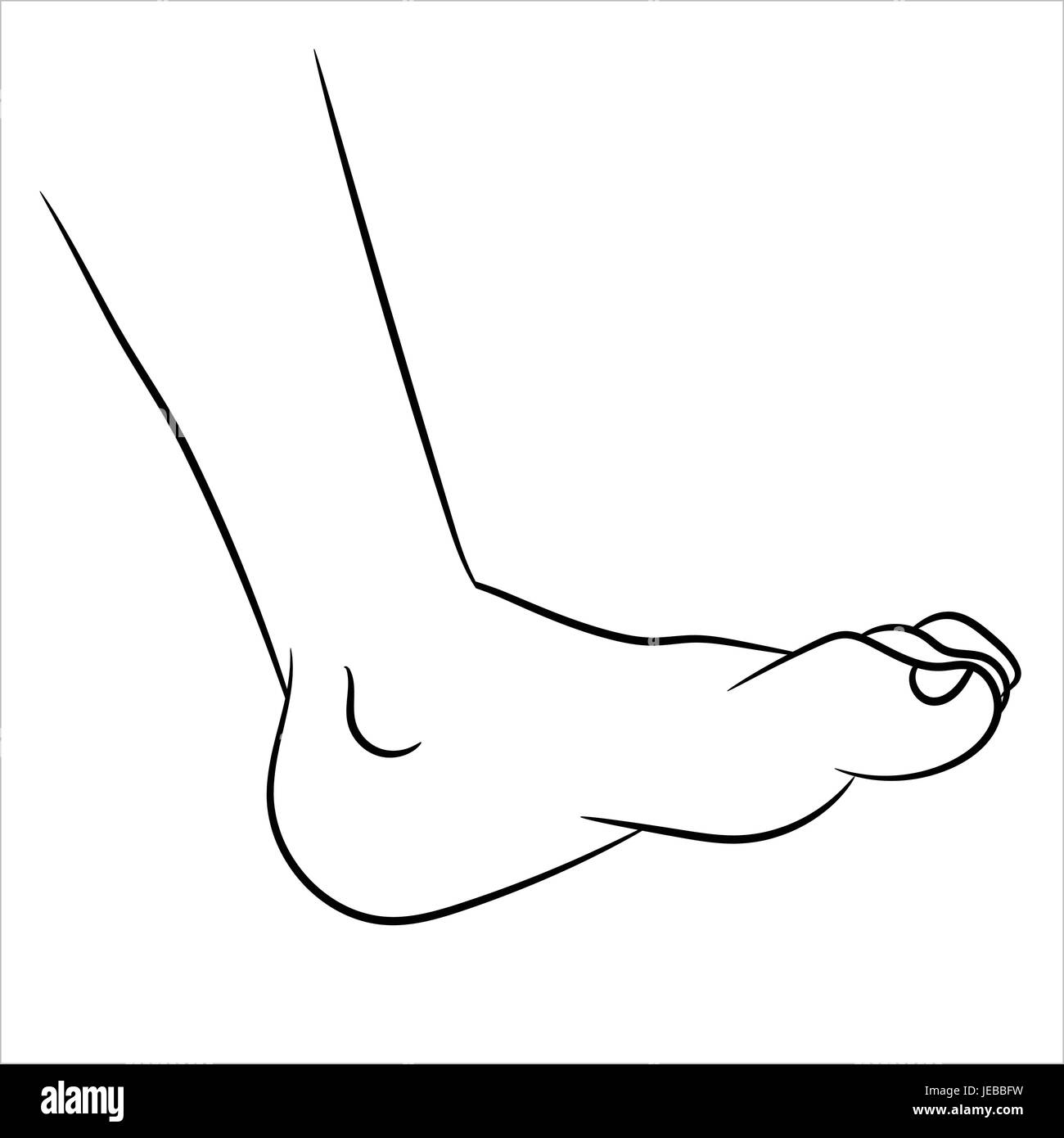 Feet Vector Vectors Stockfotos und -bilder Kaufen - Alamy