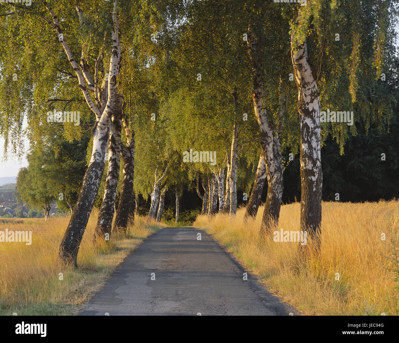 Der breite und schmale weg -Fotos und -Bildmaterial in hoher Auflösung ...
