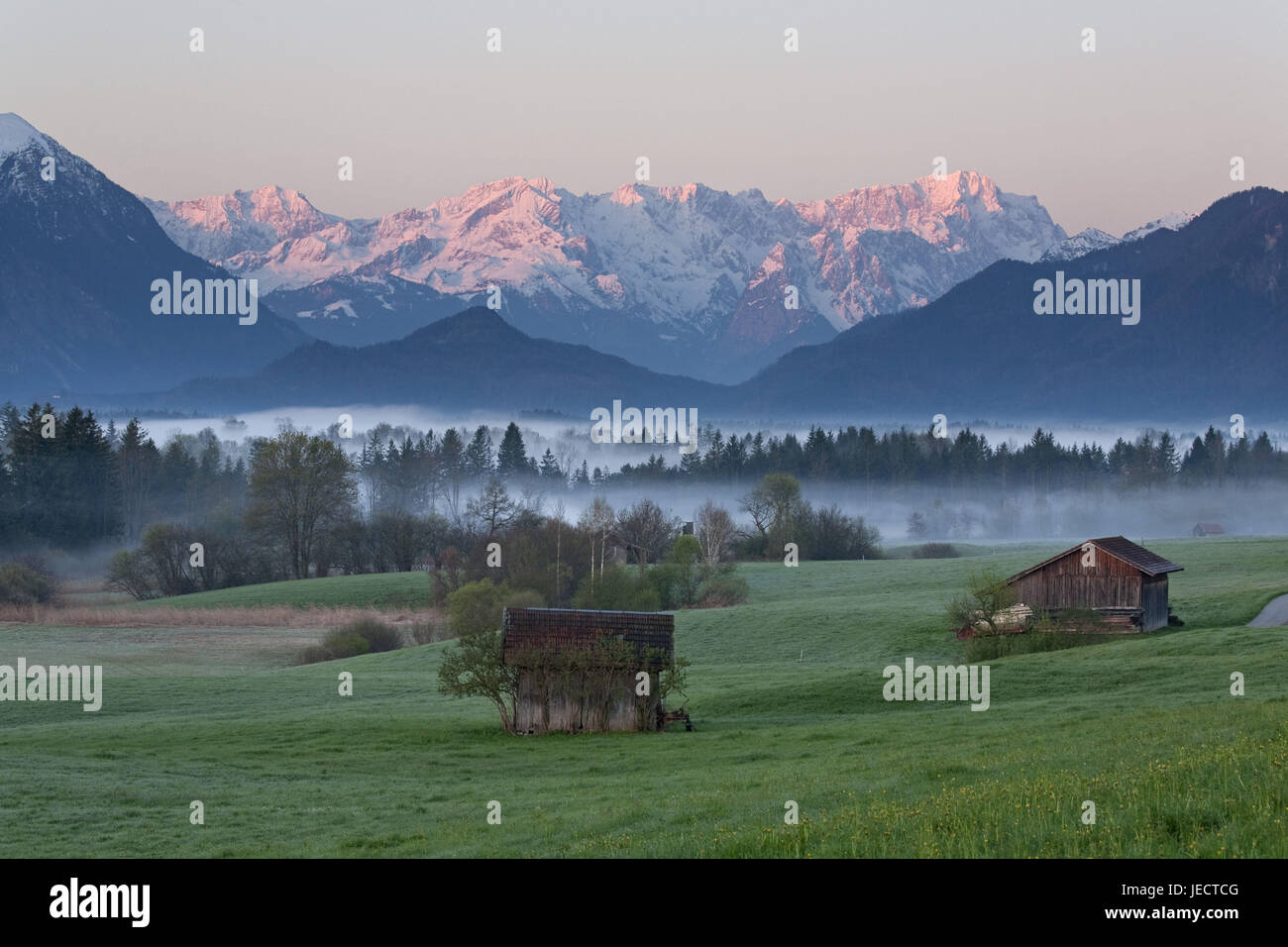 Murnauer Moos mit Zugspitze, Murnau, Upper Bavaria, Bavaria, Germany ...