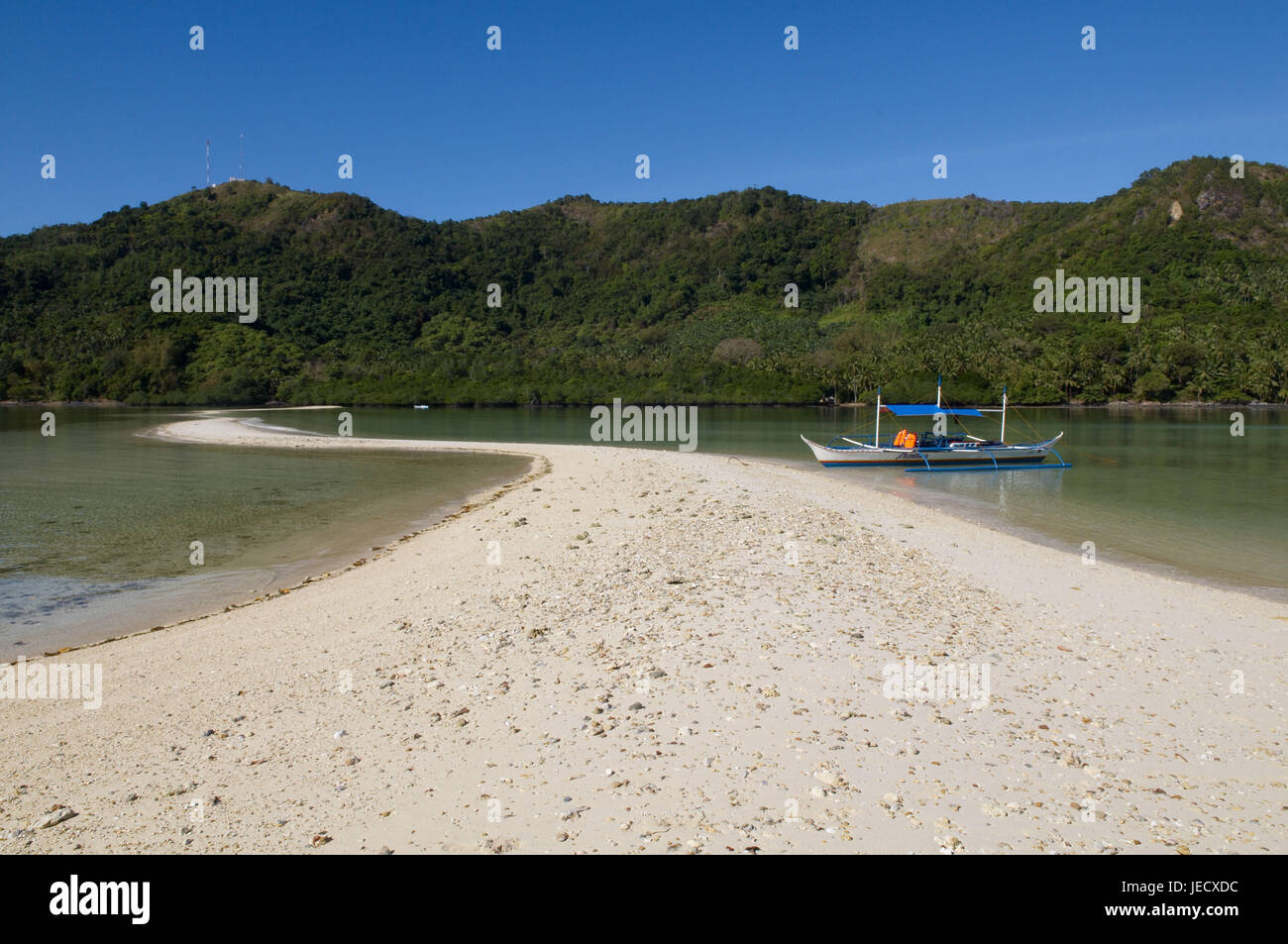 Philippinen vegetation -Fotos und -Bildmaterial in hoher Auflösung – Alamy