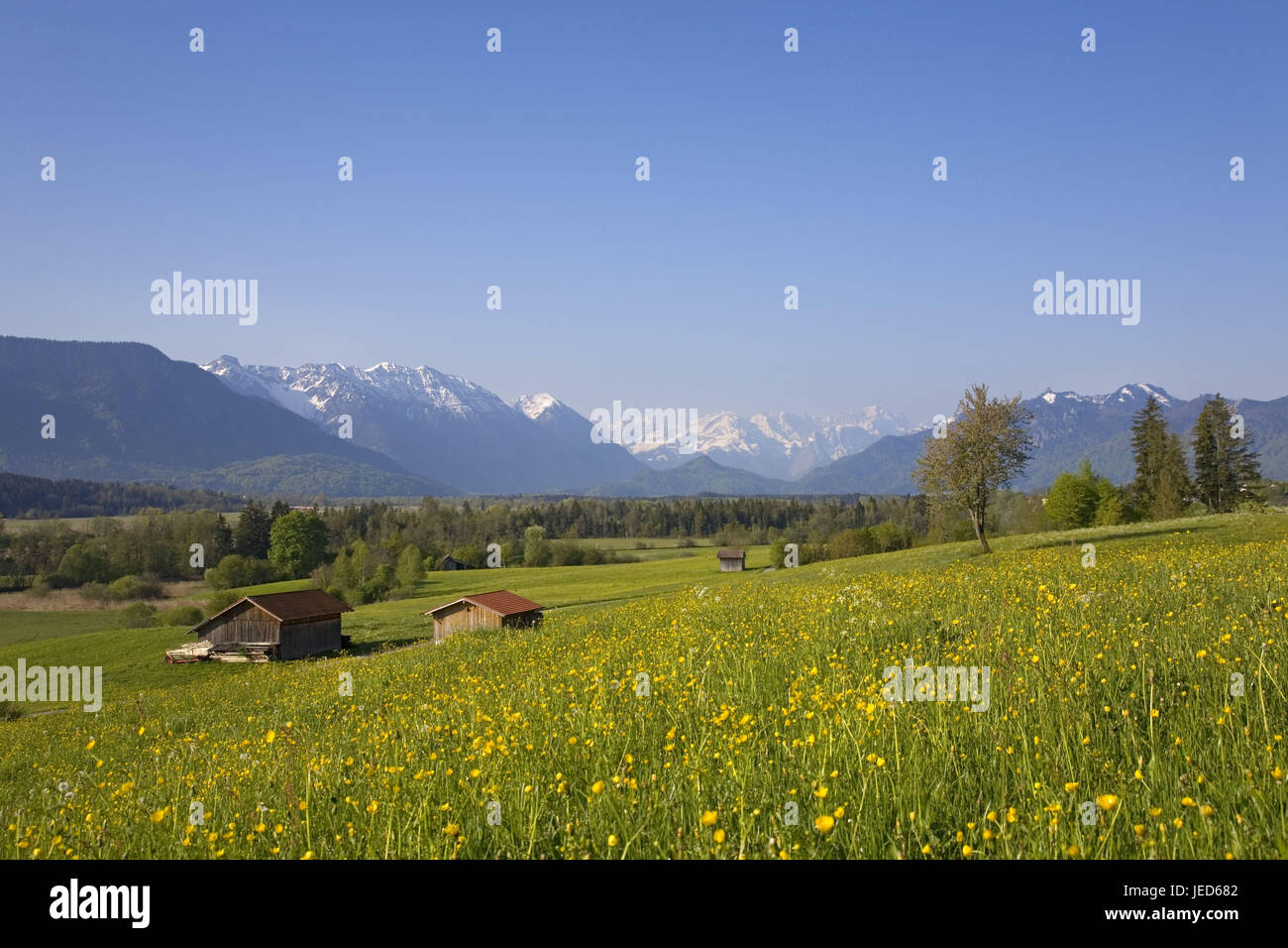 Murnauer moos mit zugspitze und estergebirge -Fotos und -Bildmaterial ...