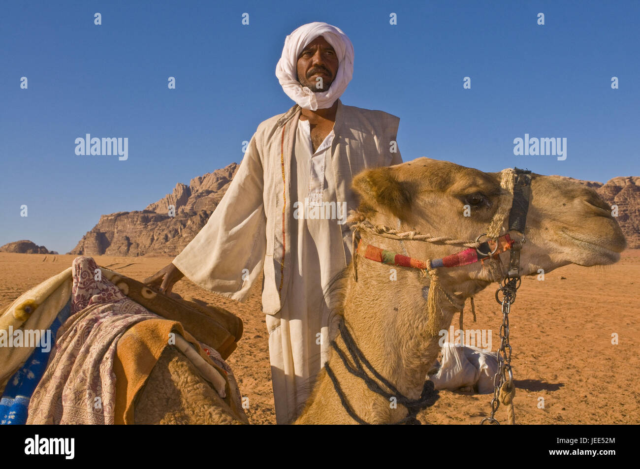 Beduine mit Kamel in den Wadi Rum, Jordanien Stockfotografie - Alamy