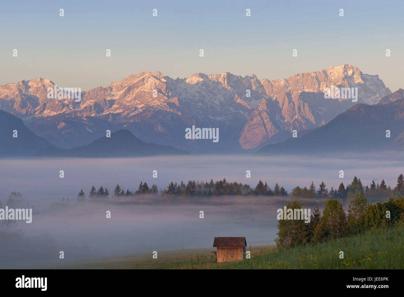 Murnauer Moos mit Zugspitze, Murnau, Upper Bavaria, Bavaria, Germany ...
