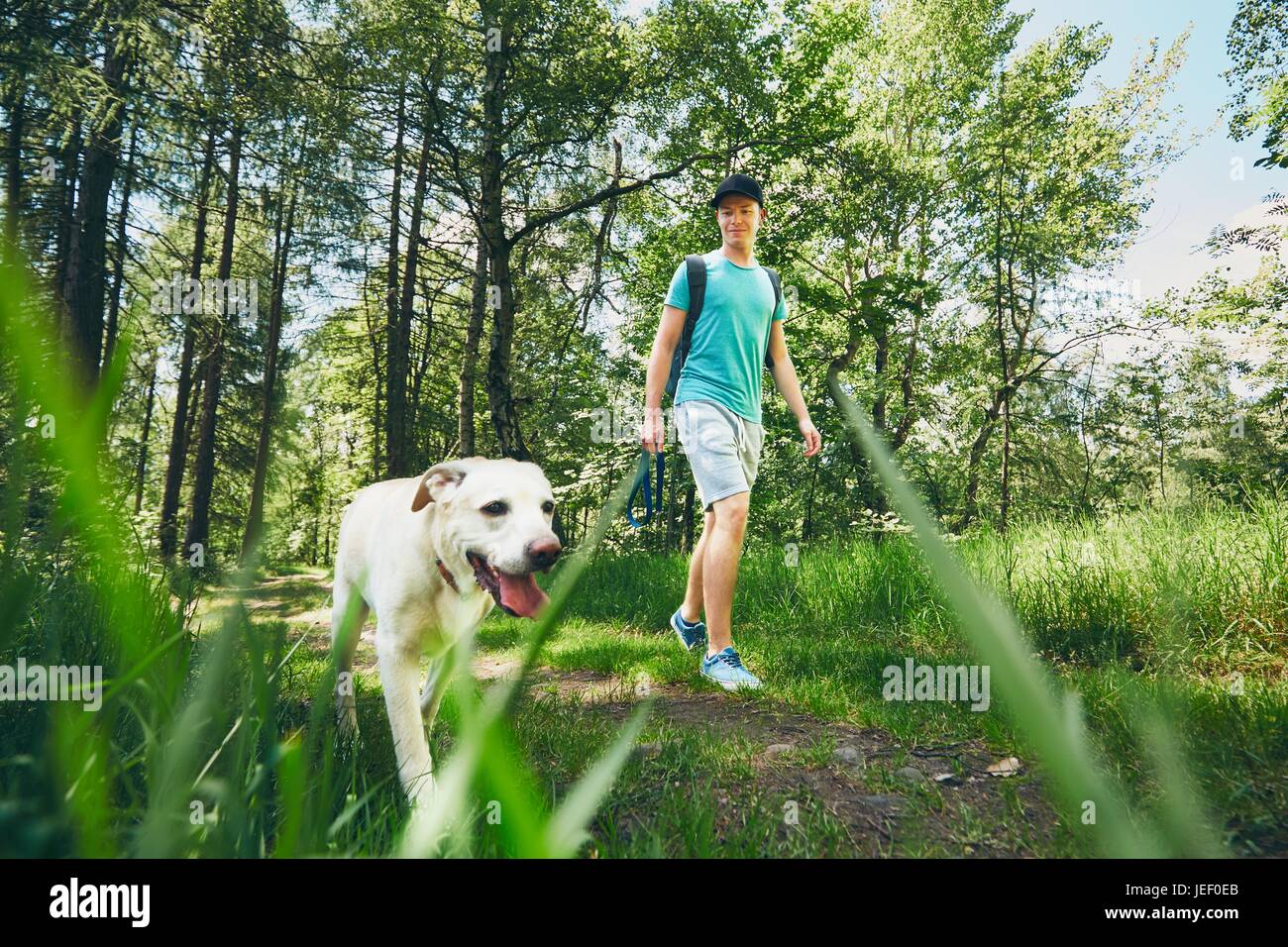 Der Spaziergang Im Wald Stockfotos und -bilder Kaufen - Alamy