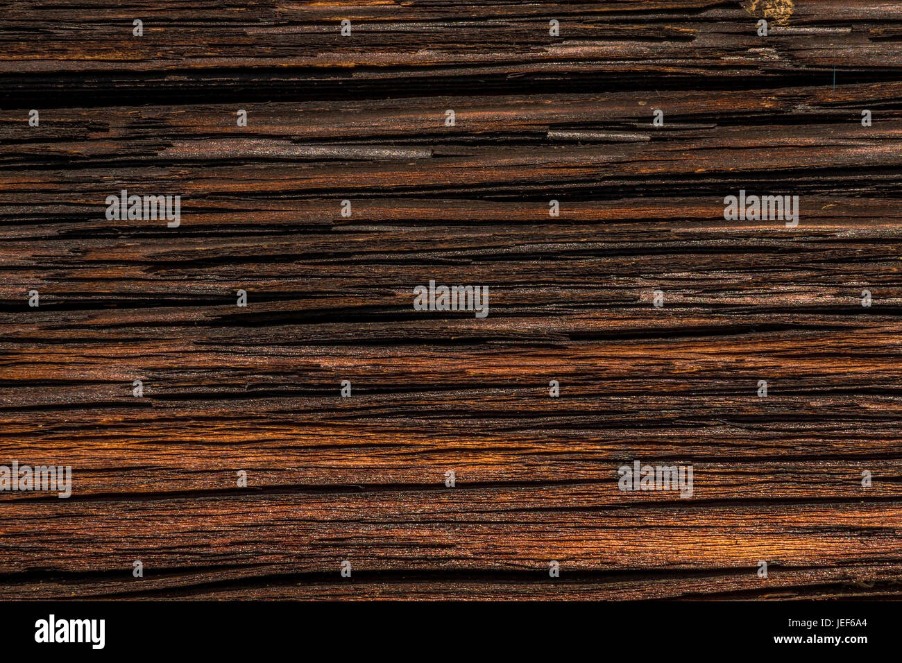 Braunen hintergrund -Fotos und -Bildmaterial in hoher Auflösung – Alamy
