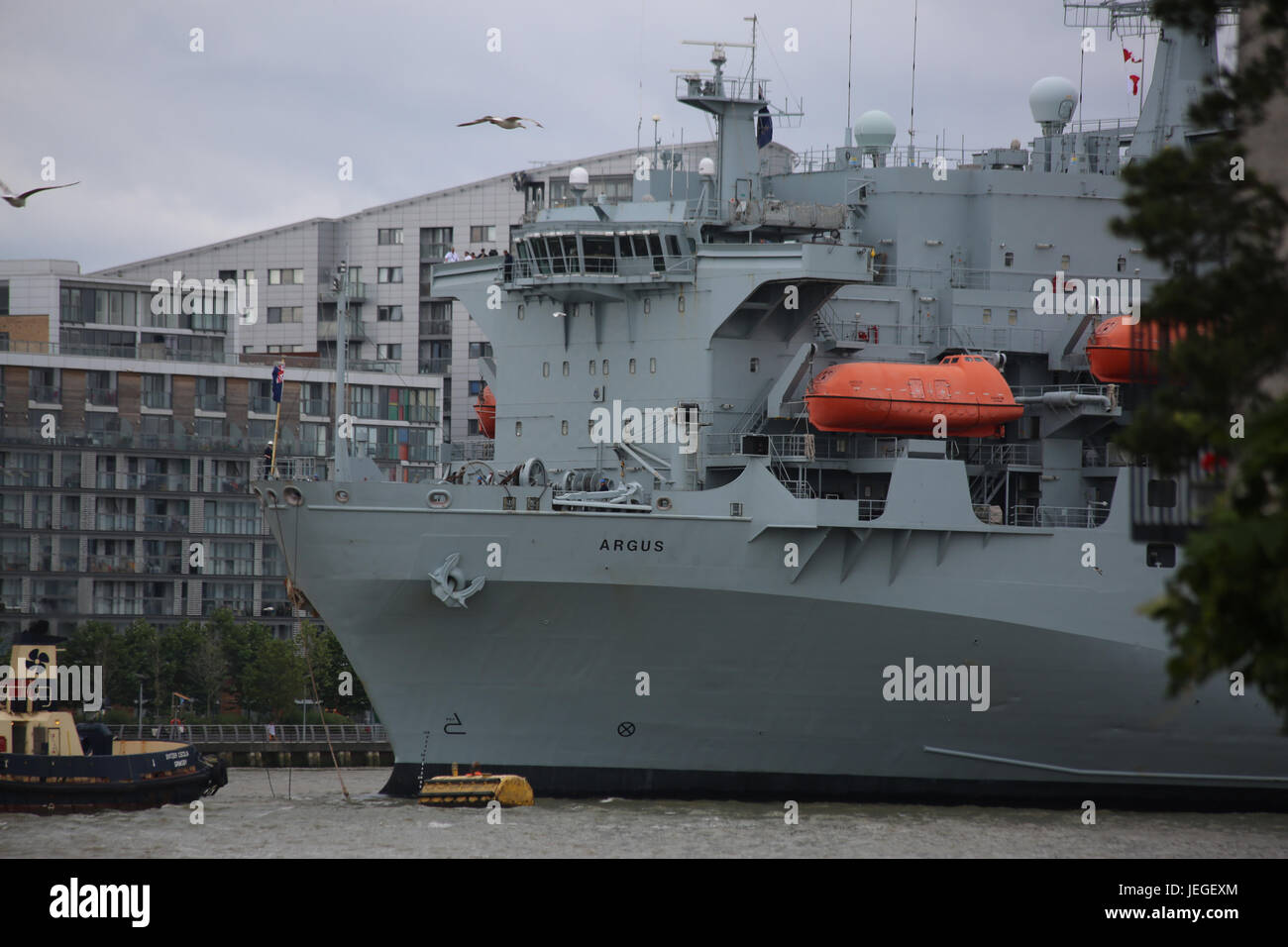 Argus greenwich -Fotos und -Bildmaterial in hoher Auflösung – Alamy