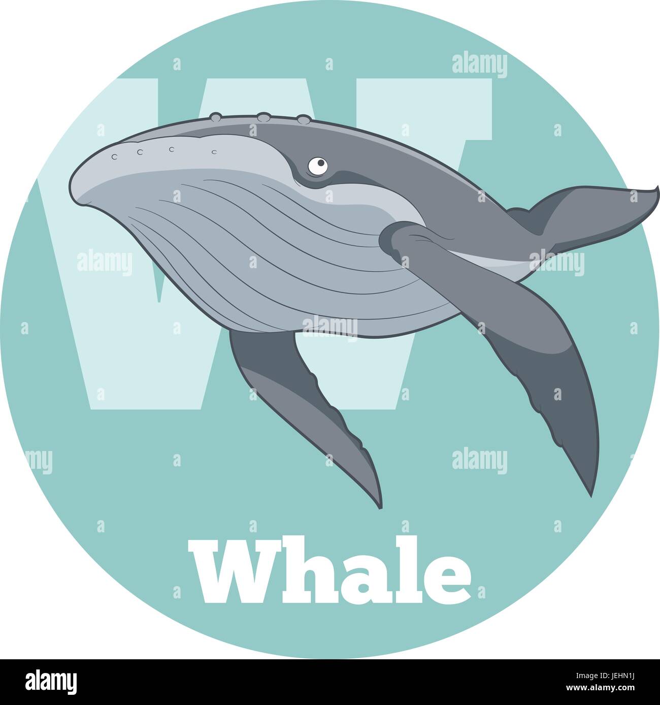 Cartoon cute whale vector wildlife Stock-Vektorgrafiken kaufen - Alamy