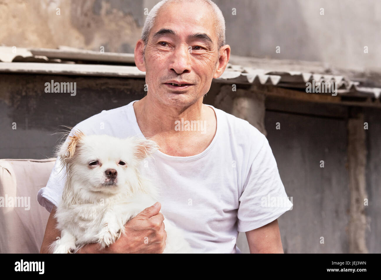 Zehn millionen jahre alt -Fotos und -Bildmaterial in hoher Auflösung ...
