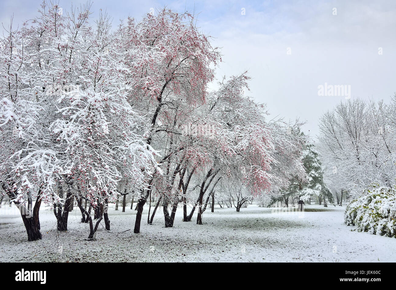Boden bei schneefall -Fotos und -Bildmaterial in hoher Auflösung – Alamy