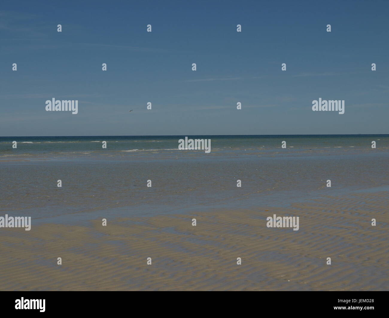Cape cod massachusetts dennis -Fotos und -Bildmaterial in hoher ...