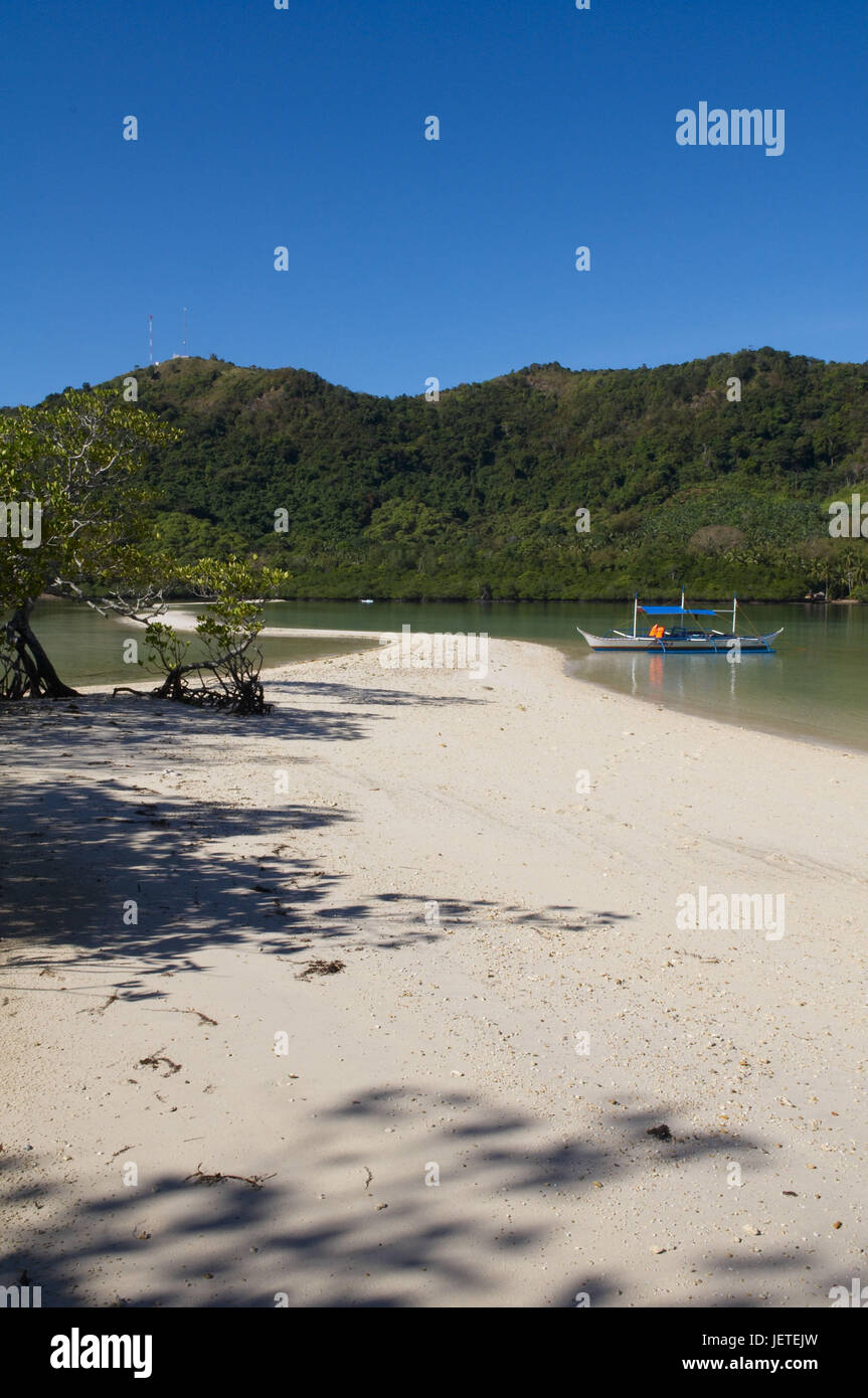 Philippinen vegetation -Fotos und -Bildmaterial in hoher Auflösung – Alamy