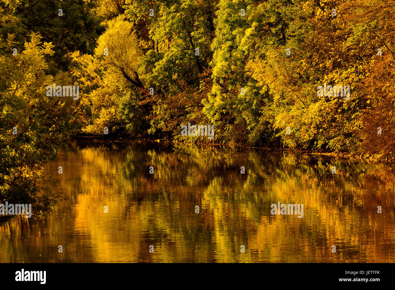 Fluss nidda -Fotos und -Bildmaterial in hoher Auflösung – Alamy