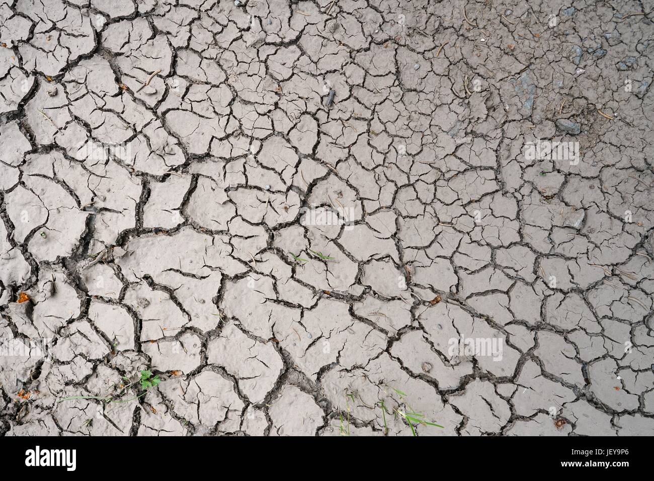 Wasser im boden -Fotos und -Bildmaterial in hoher Auflösung – Alamy