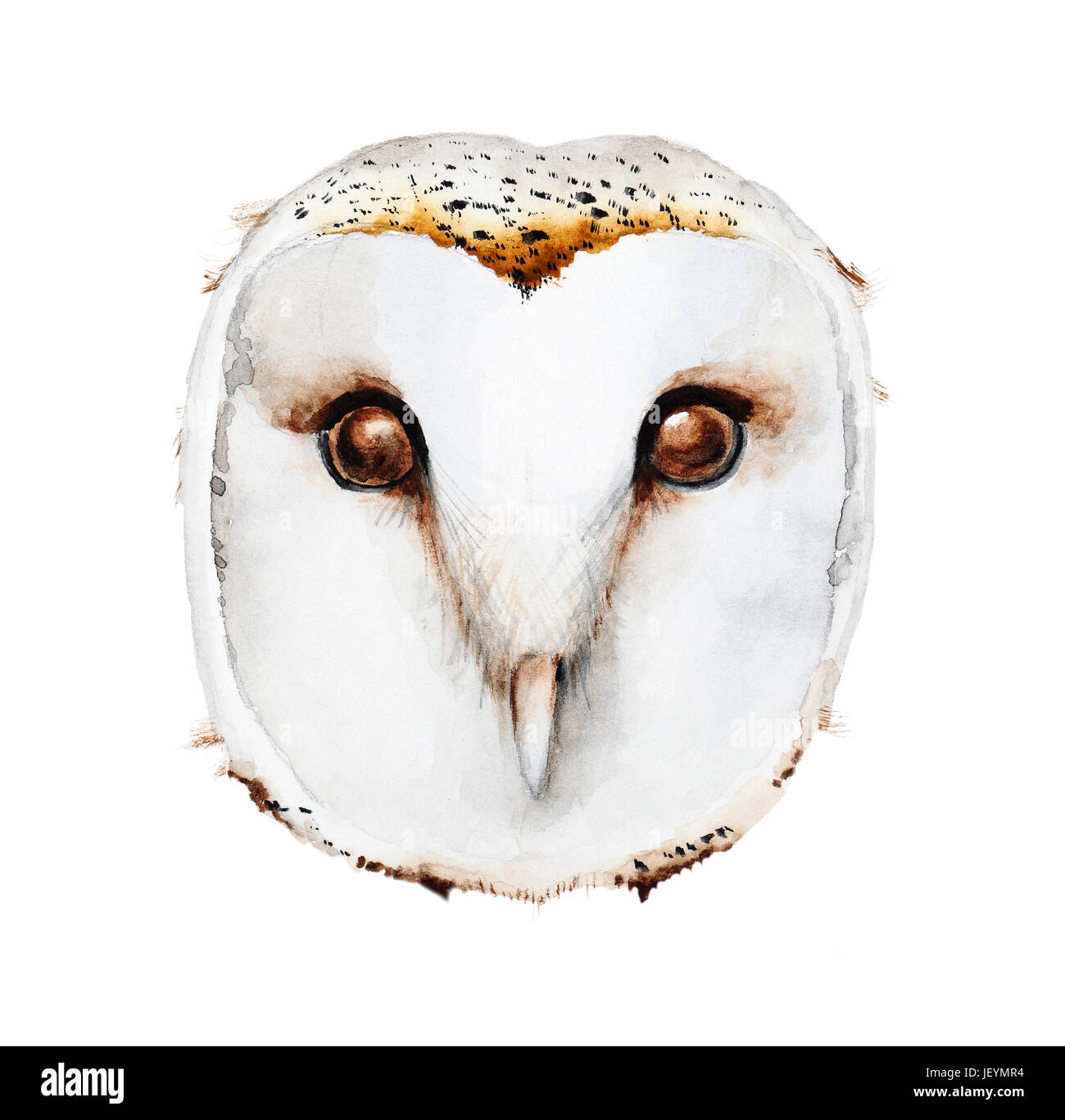 Aquarell Eule isoliert auf weißem Hintergrund. Hand gezeichnet Aquarell ...