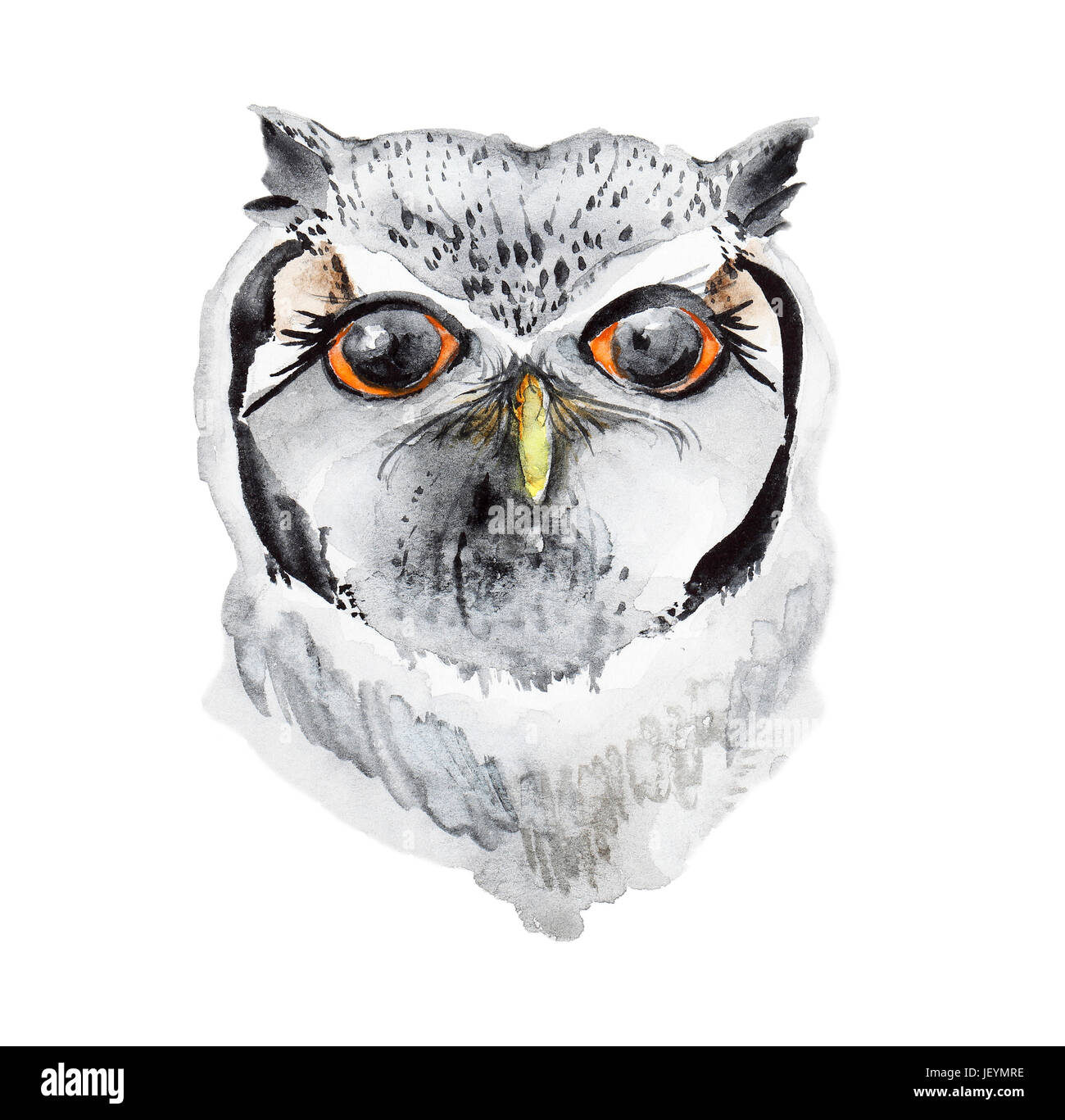 Aquarell Eule isoliert auf weißem Hintergrund. Hand gezeichnet Aquarell ...