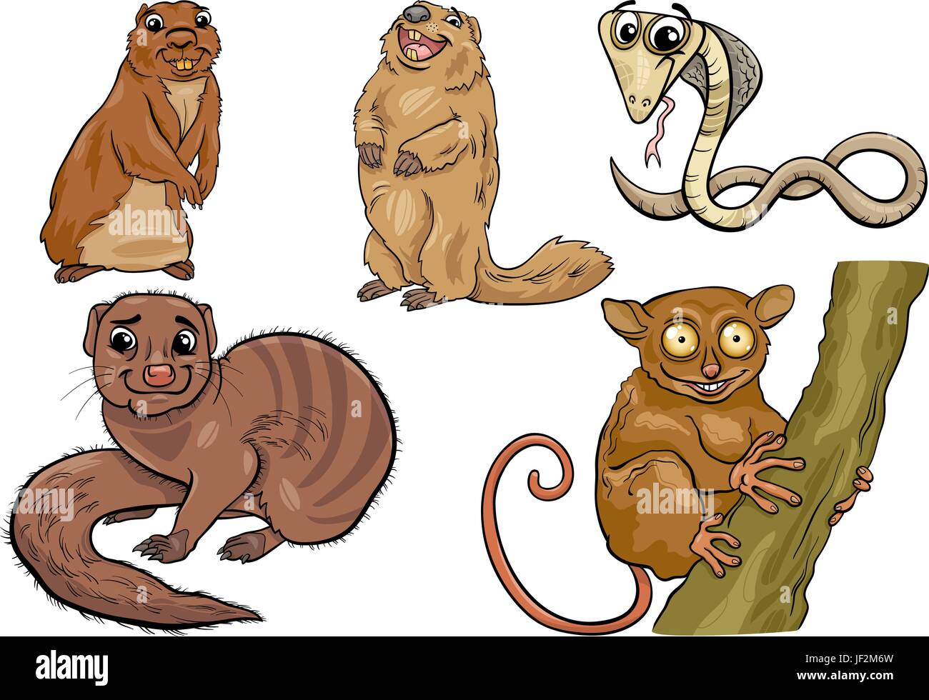 Mongoose cobra Stock-Vektorgrafiken kaufen - Alamy