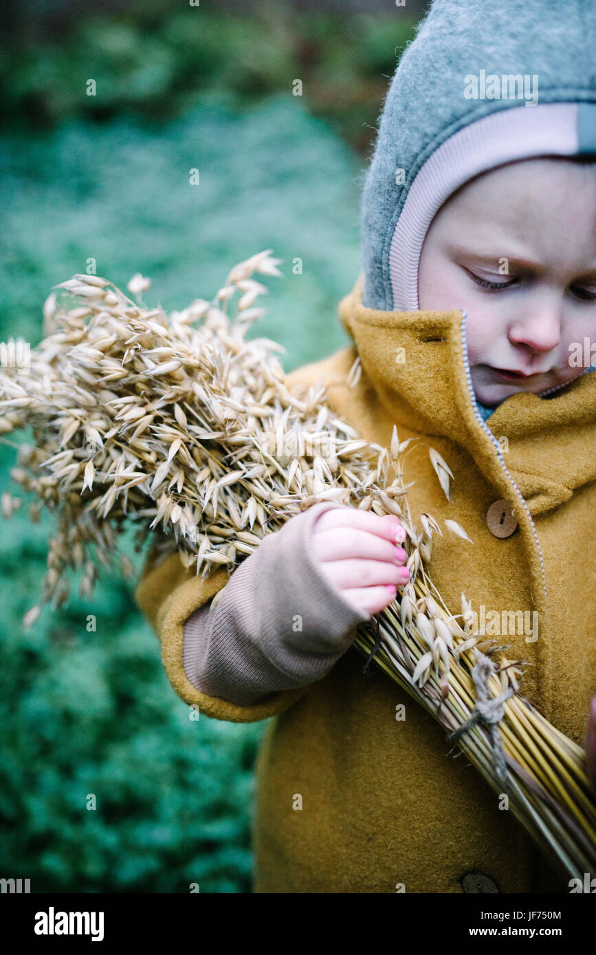 Mais garbe -Fotos und -Bildmaterial in hoher Auflösung – Alamy