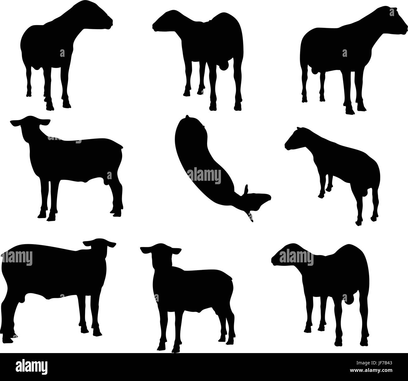 Schaf-Silhouette mit aussehende pose Stock-Vektorgrafik - Alamy