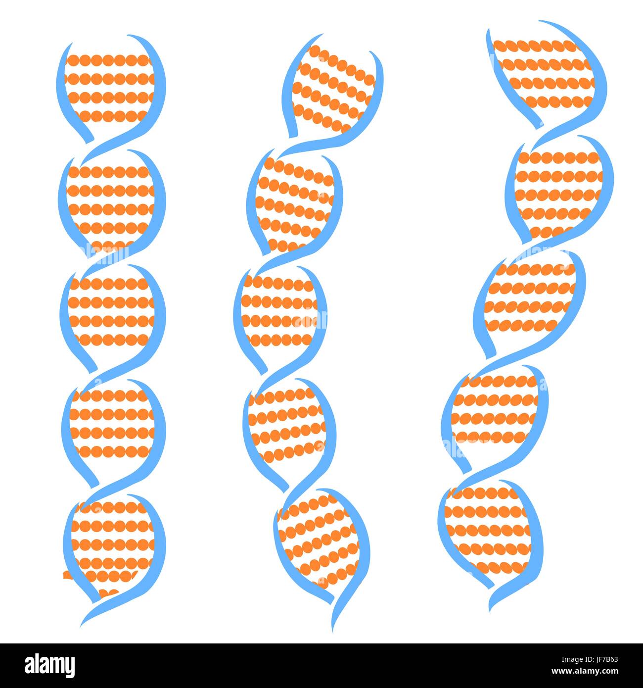 Struktur der DNA-Moleküle, Isolated on White Background Stock ...