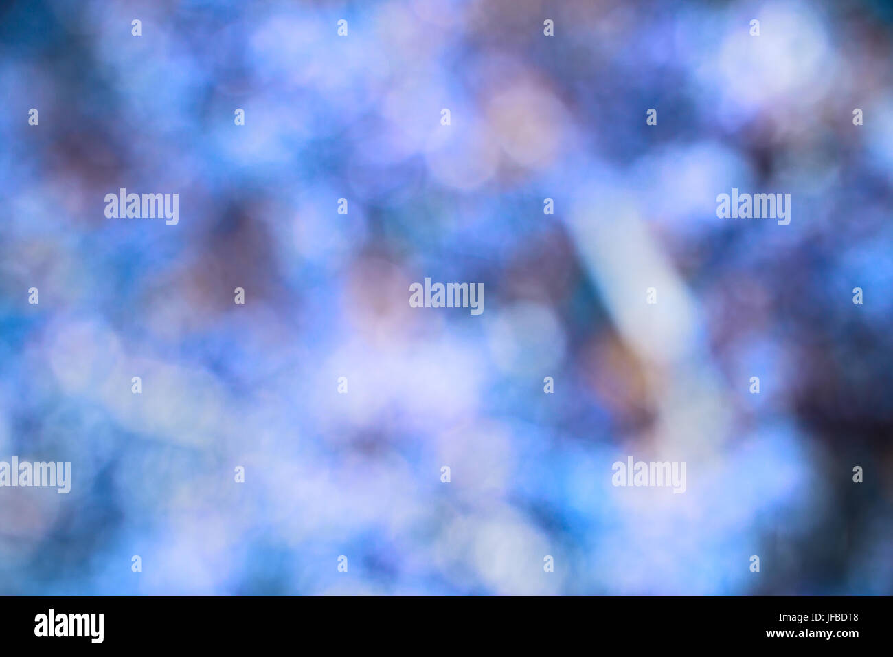 Kunst boke -Fotos und -Bildmaterial in hoher Auflösung – Alamy